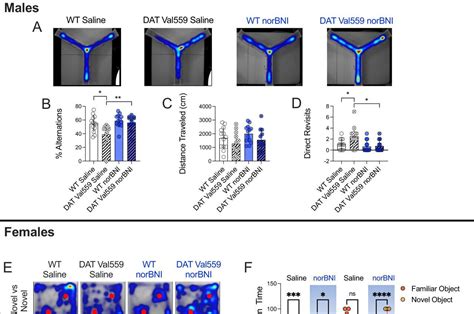 Fixing The Leak Blocking An Opioid Receptor For Safer Treatment Of Dopamine Related Disorders