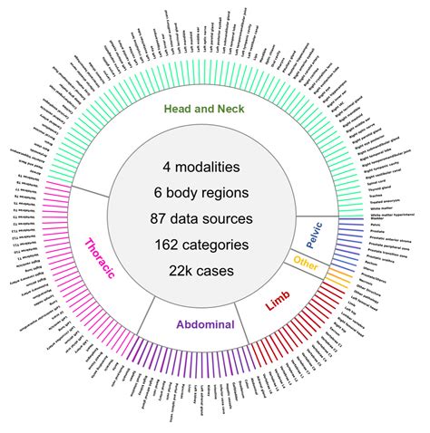 Segvol Universal And Interactive Volumetric Medical Image Segmentation Ai Research Paper Details