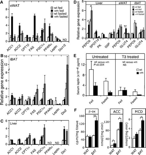 Gene Expression Profiles AC Relative Gene Expression Measured By Download Scientific