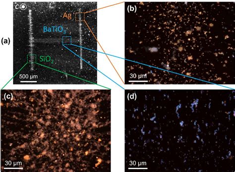 Figure 2 From Combinatorial Nanoparticle Patterns Assembled By