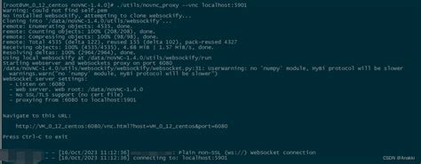 novnc client tigervnc server 搭建流程 csdn博客