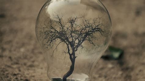 Meet Our Curators Adrian Limani 100asa