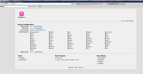 如何关闭windows的iis服务解决wamp Server与iis端口冲突问题