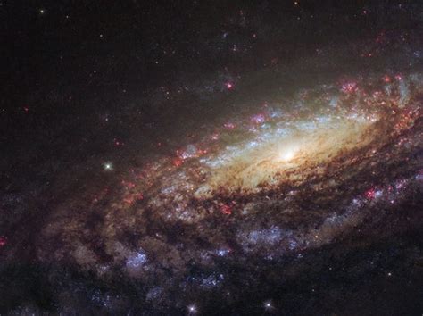 Hubbles Majestic Spiral In Pegasus This Nasaesa Hubble S Flickr