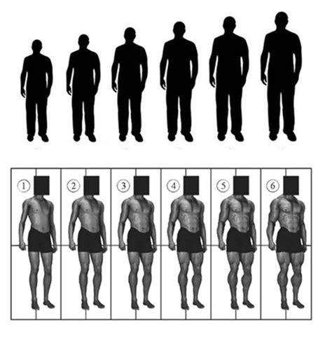 Top Array Used By Participants To Estimate Overall Size Bottom Array Download Scientific