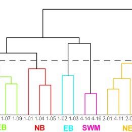 The Dendrogram Plot Of The Hierarchical Binary Cluster Tree Of 26 Download Scientific Diagram