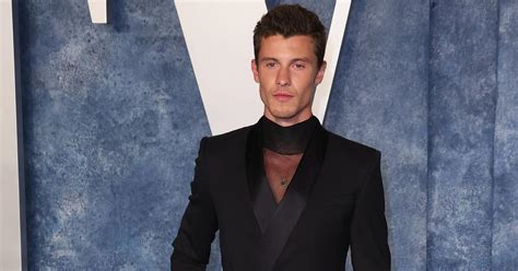Shawn Mendes Reveals Pregnancy Scare In New Song Why Why Why