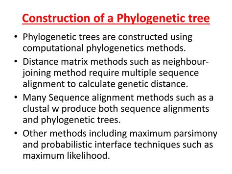 Basic Concepts In Systamatics Taxonomy And Phylogenetic Tree Pptx