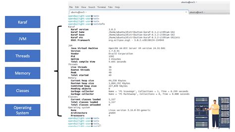 Opendaylight Installation On Ubuntu Shelly Lighting