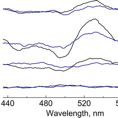 Typical Double Difference Spectra Obtained By Subtraction The