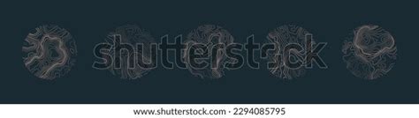 Different Contour Topography Maps Circles Vector Stock Vector Royalty