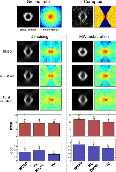 Figure 1 From A Monte Carlo Framework For Noise Removal And Missing Wedge Restoration In Cryo