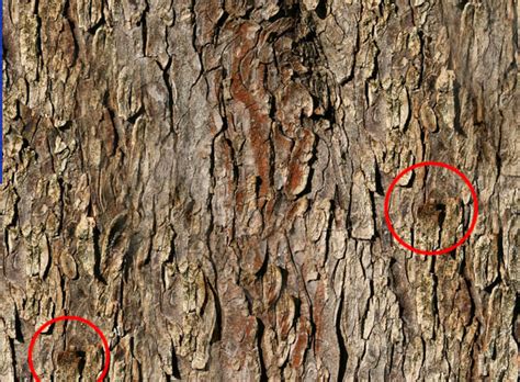 How To Apply Textures To Uneven Surfaces Envato Tuts