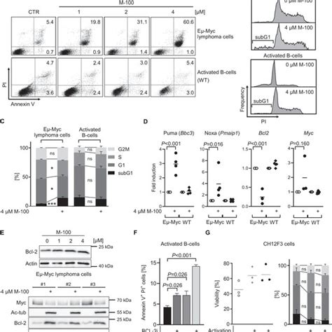 M 100 Specifically Induces Apoptosis In Murine Lymphoma B Cells But Not Download Scientific