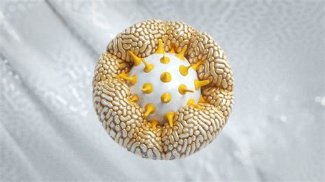 Shingrix — Caskal Shingrix — Caskal