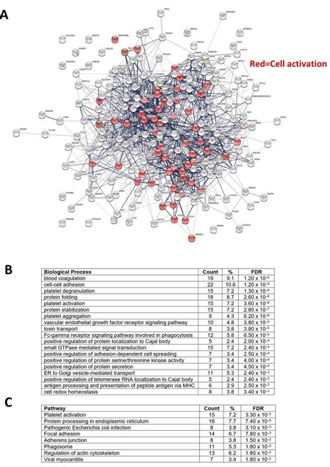 Network And Pathway Analysis Of The Significantly Modulated Proteins In