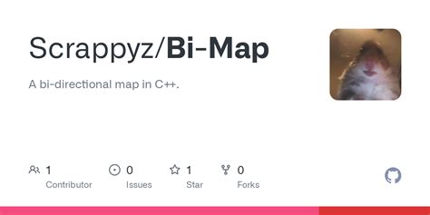 Github Scrappyzbi Map A Bi Directional Map In C