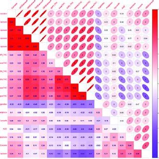 Corrplot Correlogram Of Selected Covariates Of BCI CancerRt Lower Download Scientific