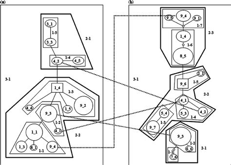 maximum parsimony network and nested design for the haplotypes of cpdna