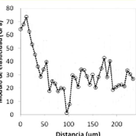 nano indentation elasticity modulus versus distance in reference