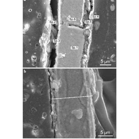 Sem Micrographs For Sample A 6 With Element Analysis Table 5 Of