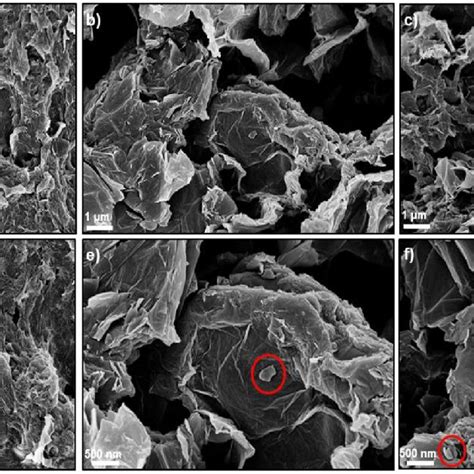 SEM Images Of MoS RGO A D MoS N RGO B E And MoS SN RGO Download Scientific