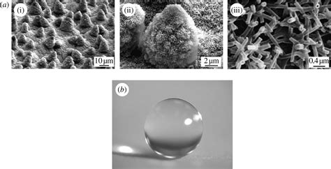 Micro Nano And Hierarchical Structures For Superhydrophobicity Self