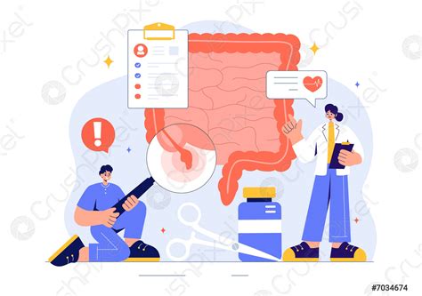 Appendicitis Vector Illustration Featuring Inflammation Of The Appendix