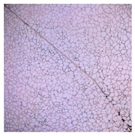 Experimental Study of Pore-Scale Water Flooding with Phase Change Based ...