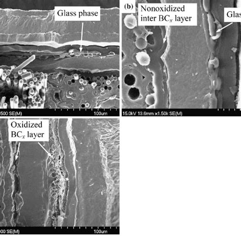The Magnification Of Tensile Fracture Morphologies Of 2d C Sic Bc X Download Scientific Diagram