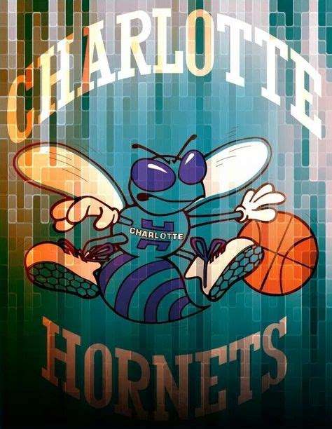Charlotte Hornets Charlotte Hornets Hornet Sketches