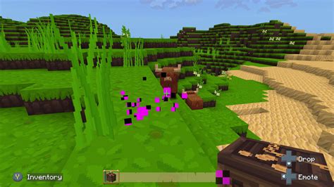 Anyone Know Why Some Of My Texture Packs Are Degrading Into Having Nothing In Their Files R