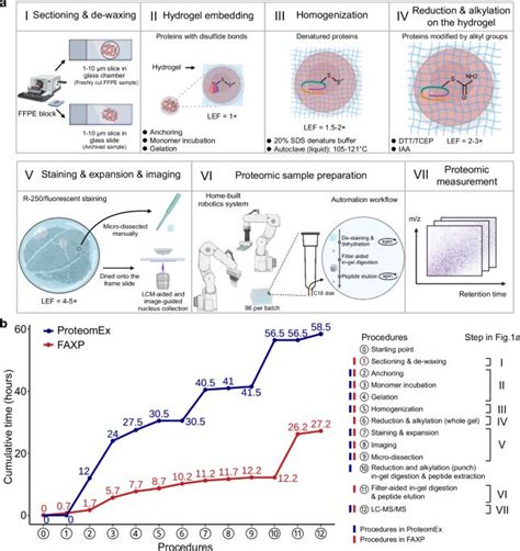 Spatial Proteomics Of Single Cells And Organelles On Tissue Slides Using… Marie Louise Verschuuren