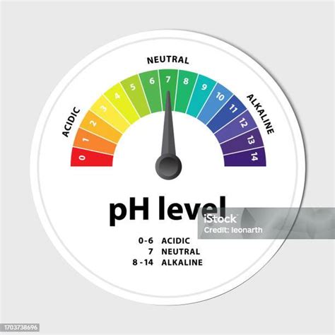 Ph Level Scale Chart Indicator Diagram Value Alkaline Neutral Acidic