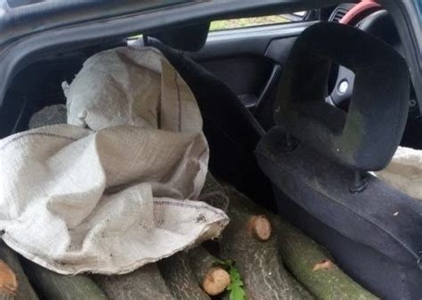 Затвор за бракониер спипан да кара незаконни дърва с нередовна кола и без книжка