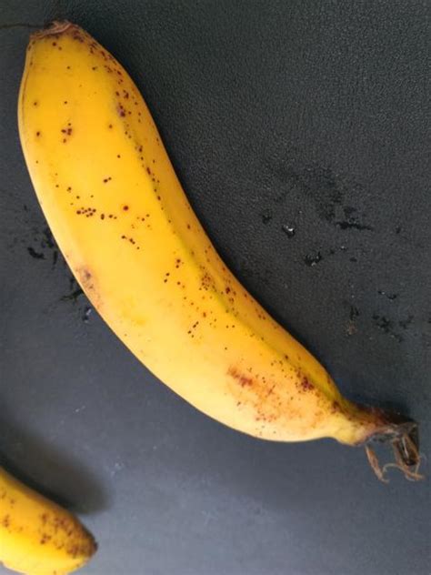 Banana Ripeness Classification Classification Model By Model Examples