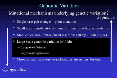 Ppt Genomic Duplications Structural Variation And Disease Powerpoint Presentation Id4425789