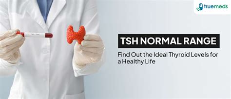 Tsh Normal Range Thyroid Levels For Men And Women
