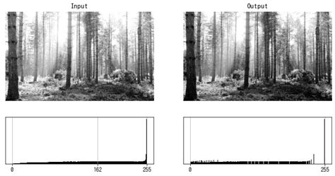 Opencv Cv2equalizehist でヒストグラムを平坦化する方法 Pystyle