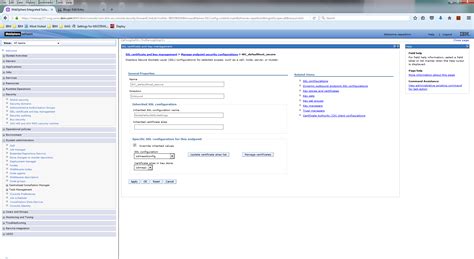Ibm Decision Optimization Center Setting Up The Application Server