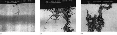 Cross Sectional Microscopic Analysis Showing Many Macro And Microcracks Download Scientific