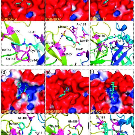 Six Non Covalent Binders In Different Substrate Binding Subsites Of M