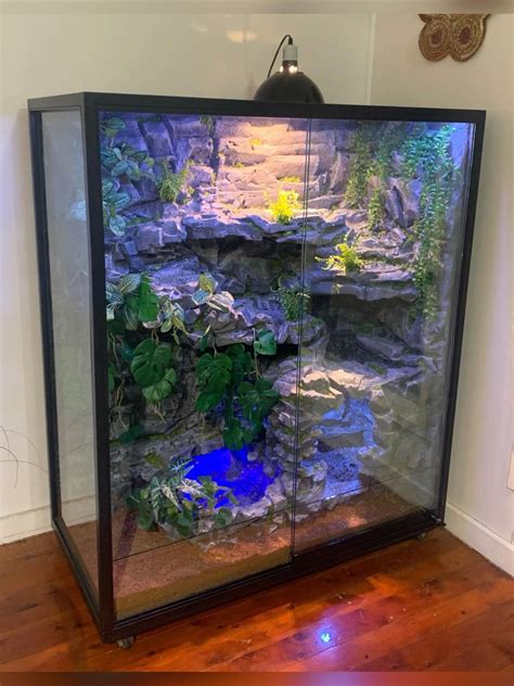 Dart Frog Habitat Setup Guide 15 Ideas From Owners Artofit