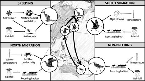 Schematic Representation Of Different Measured Climatic Conditions Download Scientific Diagram