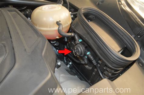 Porsche Macan Coolant Flush And Fill P95b 2015 2023 Pelican