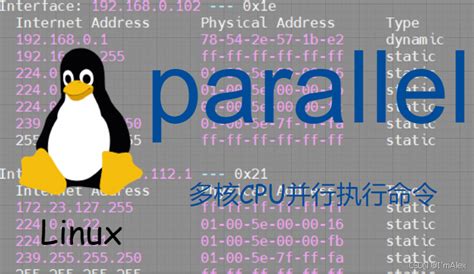 【linux】多核cpu并行执行命令行任务工具parallel：用于在多核 cpu 上并行执行命令行任务，提高命令执行效率，适用于各种需要并行