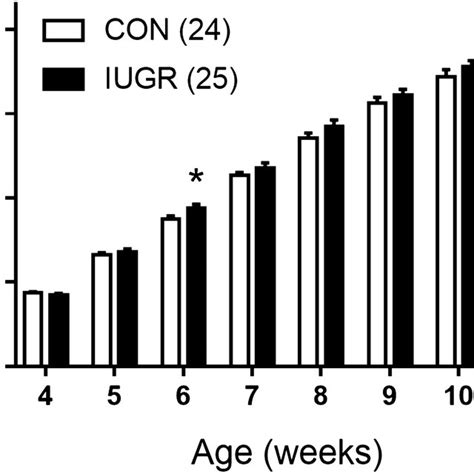 Body Weight Of Male Offspring From Control And Iugr Groups Numbers In Download Scientific