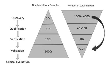 Knowledge Graphs In Biomarker Discovery And Validation Wisecube Ai