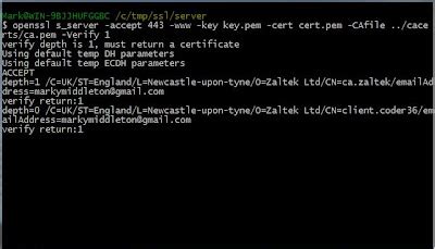 Coder36 Apache SSL Reverse Proxy Tutorial