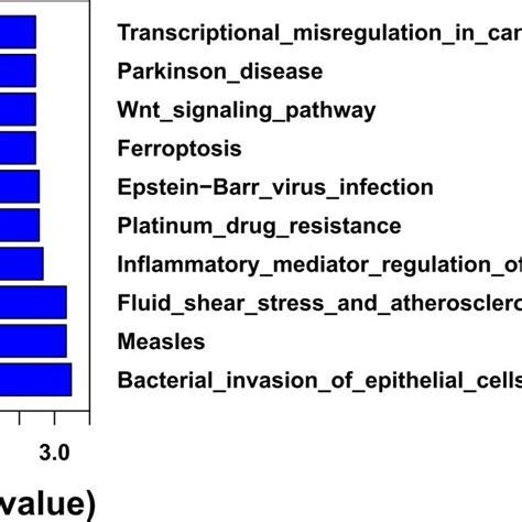 Mutational Signature Of Tumors With Different Grades The Mutational